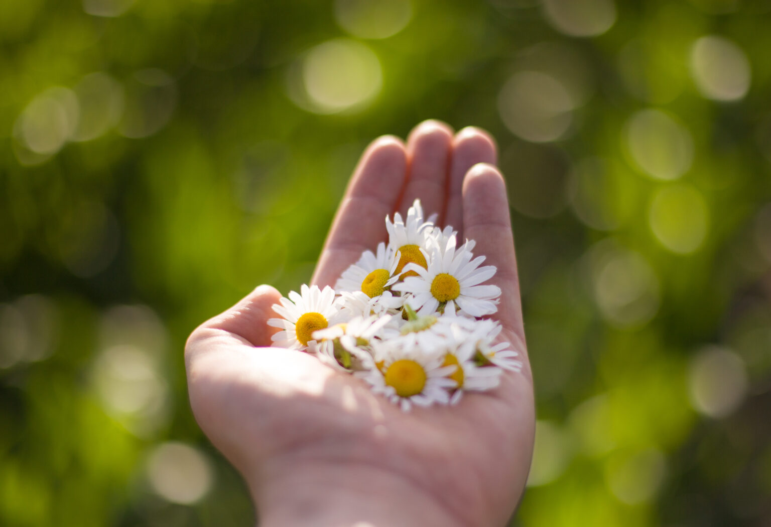 LUMEDIA (ルメディア) - 正しい医療をもっと簡単に、わかりやすく